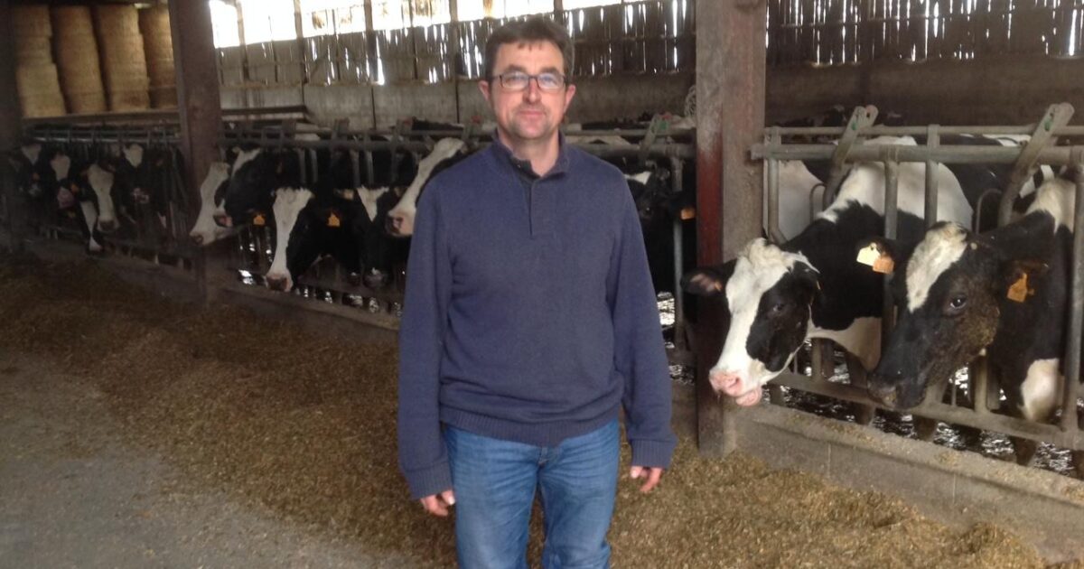 AlphaVision - Yannick H - IMV technologies France