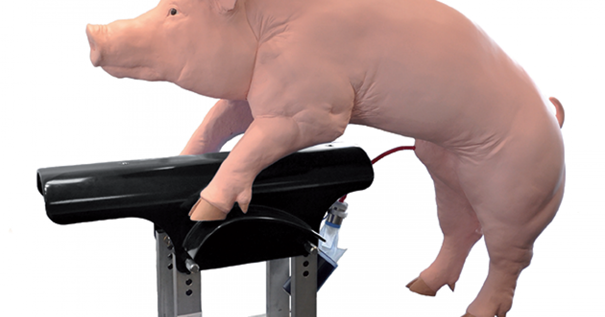 Mannequin noir COLLECTIS - IMV technologies France